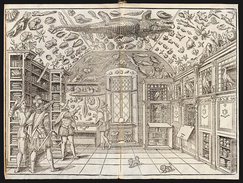 Ferrante Imperato - Alchetron, The Free Social Encyclopedia